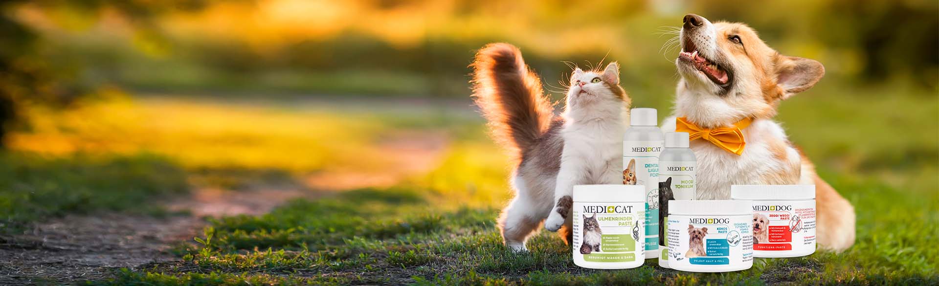 Pflegeprodukte und Nahrungsergänzung für Hund & Katze | Medipet
