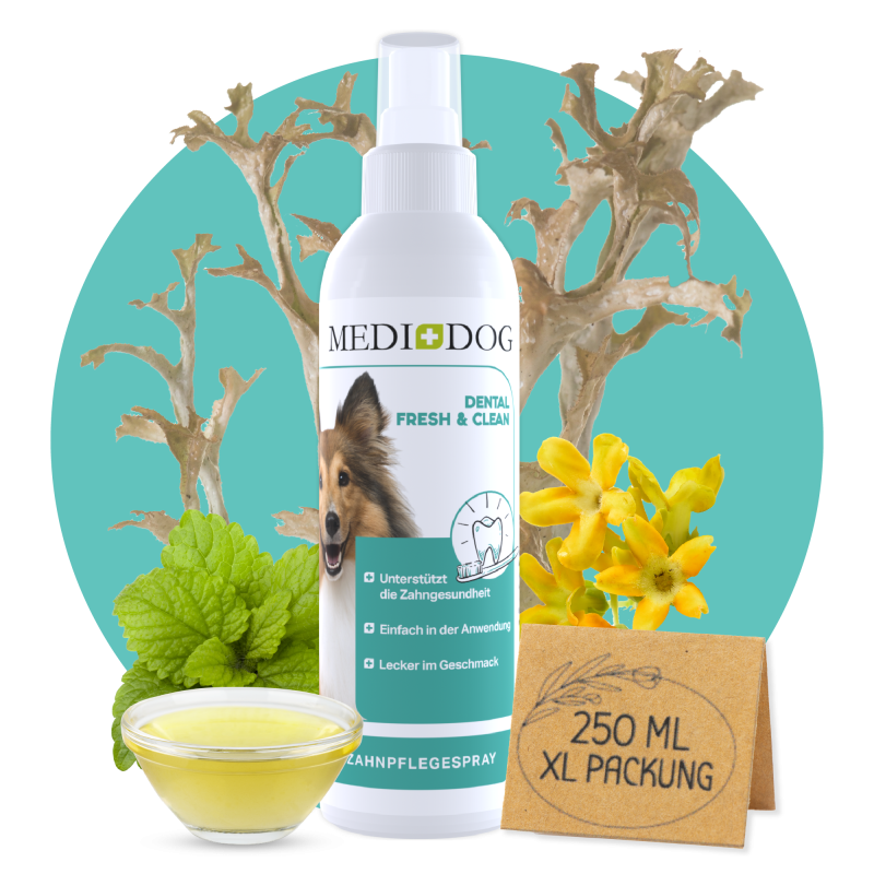 Pflegeprodukte und Nahrungsergänzung für Hund & Katze | Medipet